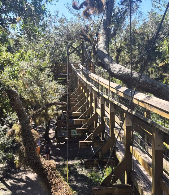 treetop canopy walkway florida ftr