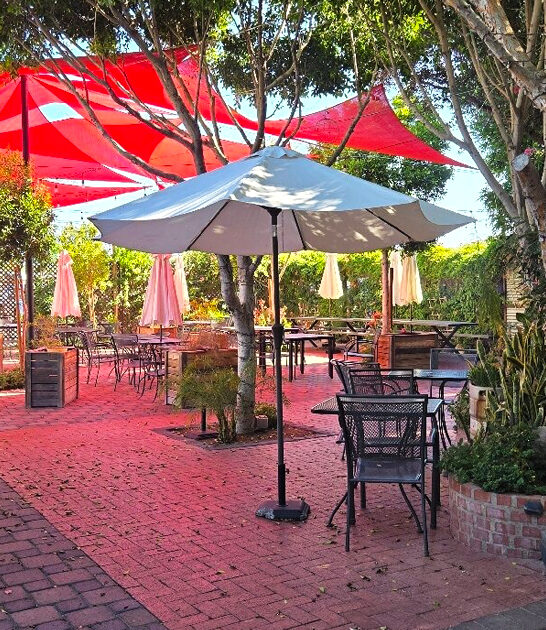 tropical birds arizona brewery ftr