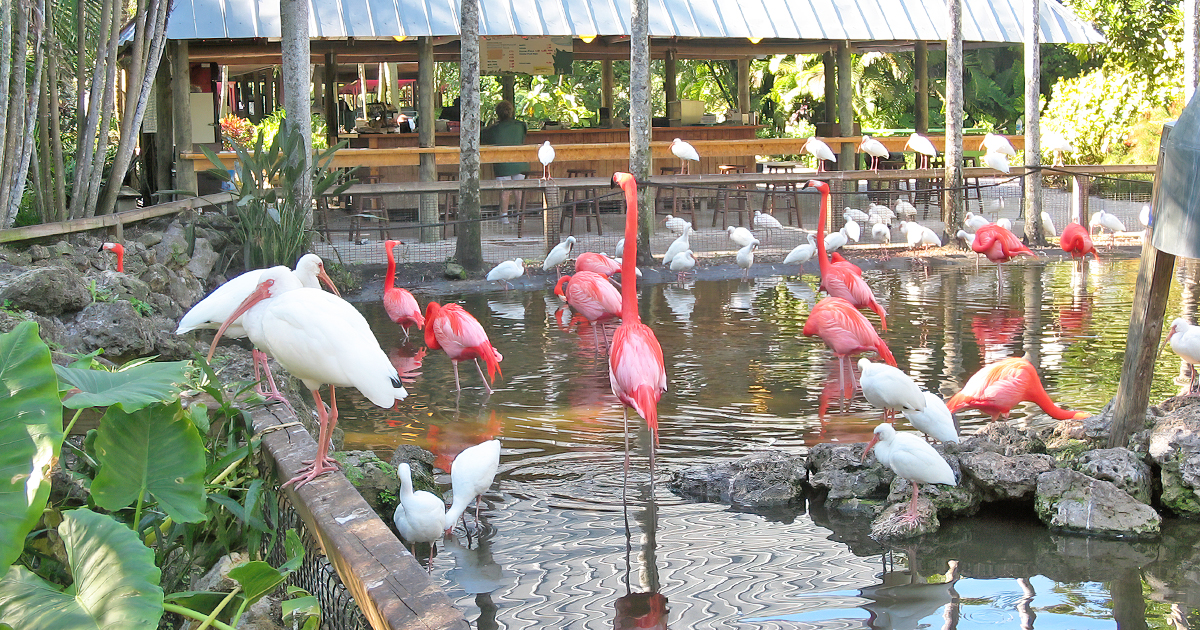tropical botanical garden florida ftr