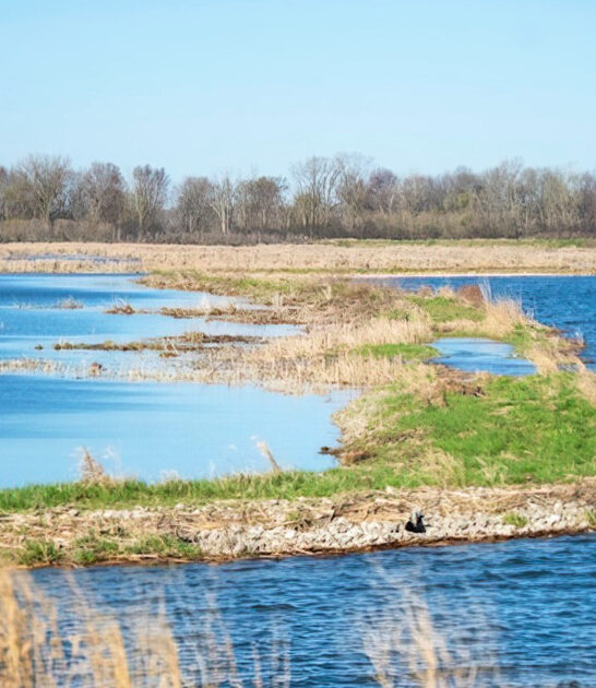underrated michigan wildlife area ftr