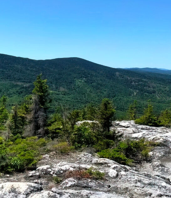 unique day trips maine ftr