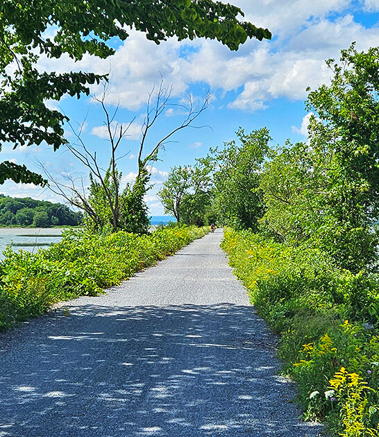 vermont colchester causeway island ftr