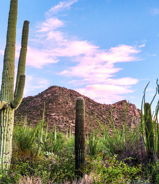 visit spellbinding arizona spots ftr