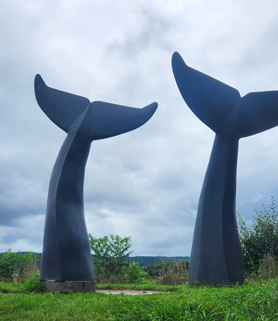 whale tail sculptures vermont ftr