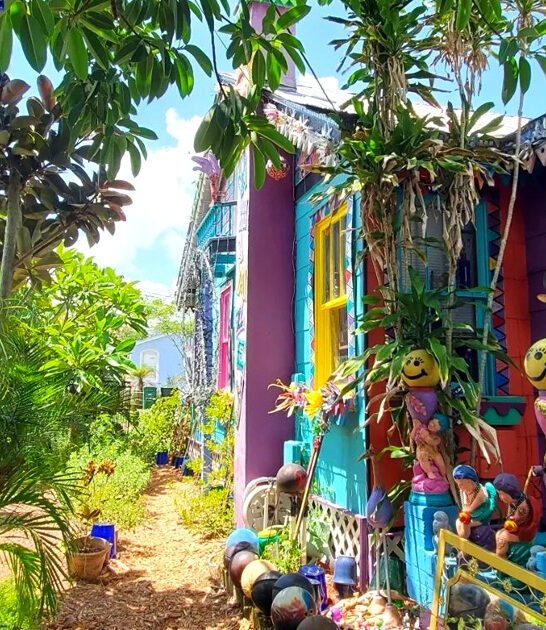 whimzeyland experience in florida ftr