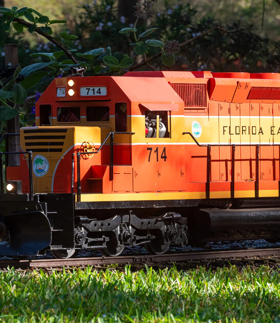 year round train florida ftr