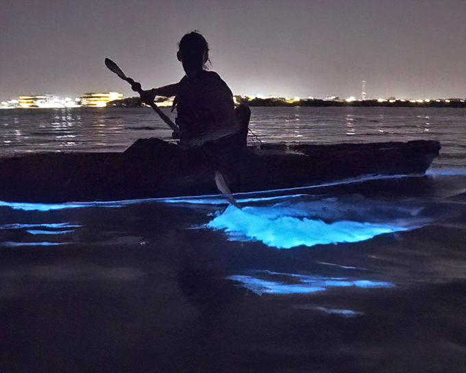 A silhouette against glowing blue waters &ndash; Mother Nature's light show makes even novice paddlers feel like wizards of the sea.