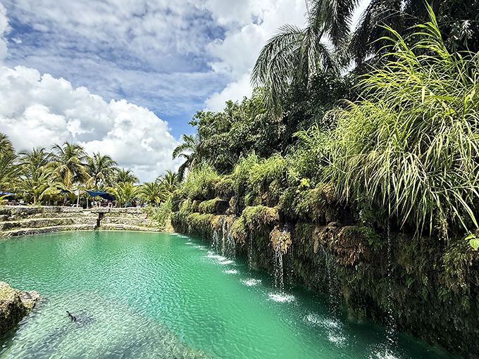 A natural swimming paradise emerges from the Florida landscape, where emerald waters invite visitors to escape the ordinary.