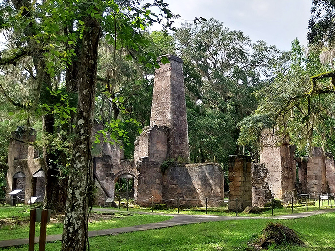 The crumbling walls of Bulow Plantation whisper stories of Florida's past, standing proudly against time and nature.