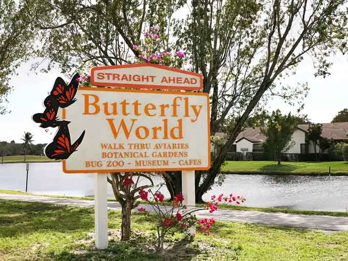 That orange and black sign promises butterflies, and unlike most promises in life, this one actually delivers in spectacular fashion.