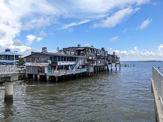 Cedar Key's weathered wooden buildings hover over the Gulf waters like a time capsule with a fishing license.