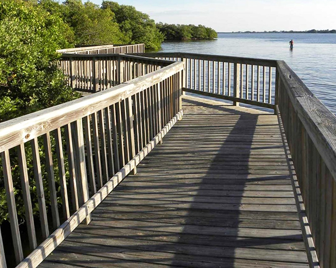 Wooden boardwalks wind through Lemon Bay Park like nature's welcome mat, inviting visitors to step into Florida's coastal wilderness.