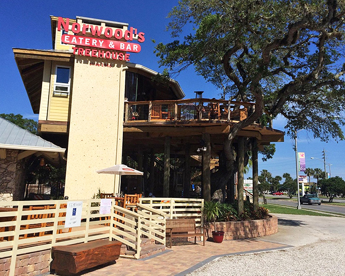 Norwood's iconic exterior welcomes diners with its distinctive red signage and treehouse design, promising an elevated dining experience in more ways than one.