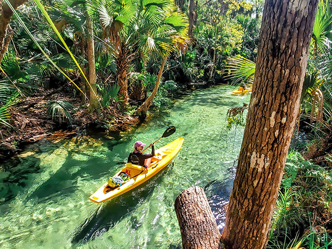 A kayaker's paradise: crystal-clear waters wind through lush Florida jungle at King's Landing, nature's answer to those fancy resort pools.