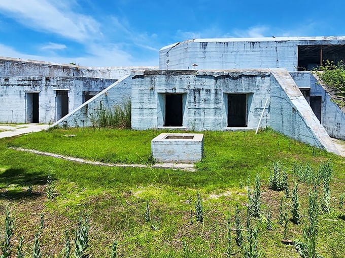 Concrete remnants of Fort Dade stand like ancient ruins, slowly surrendering to nature's persistent embrace on Egmont Key.