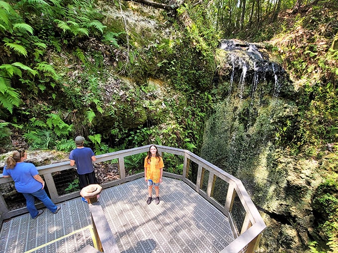 Falling Waters' observation deck offers front-row seats to Florida's tallest waterfall &ndash; Mother Nature's magic trick where water vanishes into the earth.