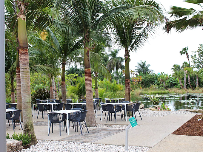 Paradise found! Palm trees frame this waterside dining area where tables seem to float between tropical greenery and reflective ponds.