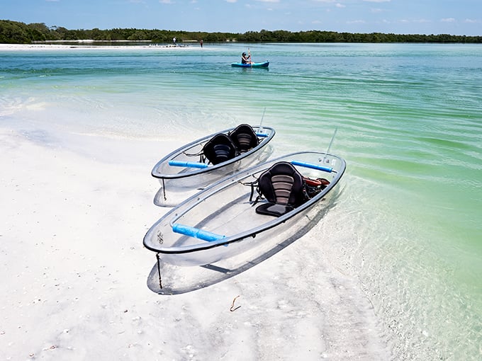 Floating on liquid crystal: These transparent kayaks at Shell Key Preserve aren't just boats, they're windows to an underwater universe waiting to be discovered.
