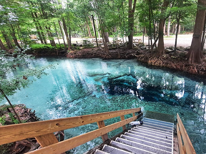 Nature's infinity pool: Ginnie Springs' impossibly clear waters invite you down wooden steps into a world of underwater magic.