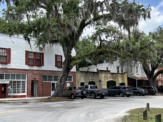 Historic downtown Micanopy welcomes visitors with brick storefronts and moss-draped oaks &ndash; Florida's version of a time machine with better parking.