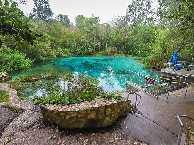 Nature's swimming pool: Ichetucknee's headspring glows with an otherworldly blue that makes you question if someone secretly installed underwater lighting.