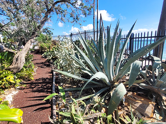 Where military history meets tropical splendor: West Martello Tower's gardens offer a stunning contrast of strength and delicacy.