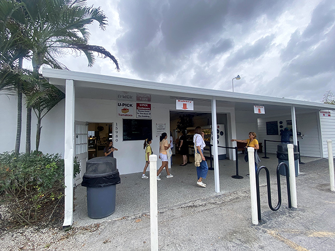 The unassuming entrance to Knaus Berry Farm belies the culinary treasures within. Simple white buildings, extraordinary flavors.