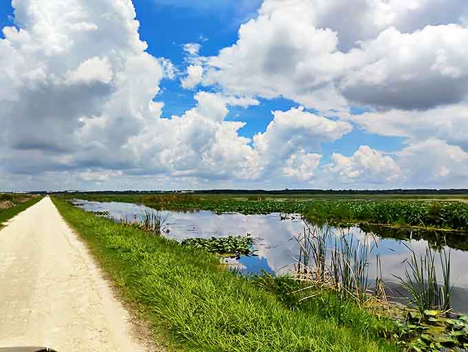 A limestone path stretches alongside wetlands under dramatic Florida skies – nature's version of a red carpet, minus the paparazzi.