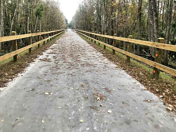 The smooth paved trail stretches into the distance like Florida's answer to the yellow brick road, minus the flying monkeys and with significantly better weather.