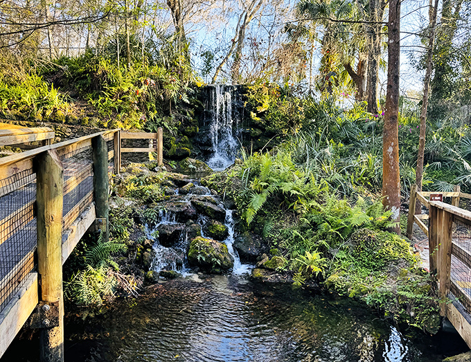 Rainbow Springs State Park: Nature's waterfall masterpiece where wooden pathways lead to cascading wonders. Florida's showing off again!
