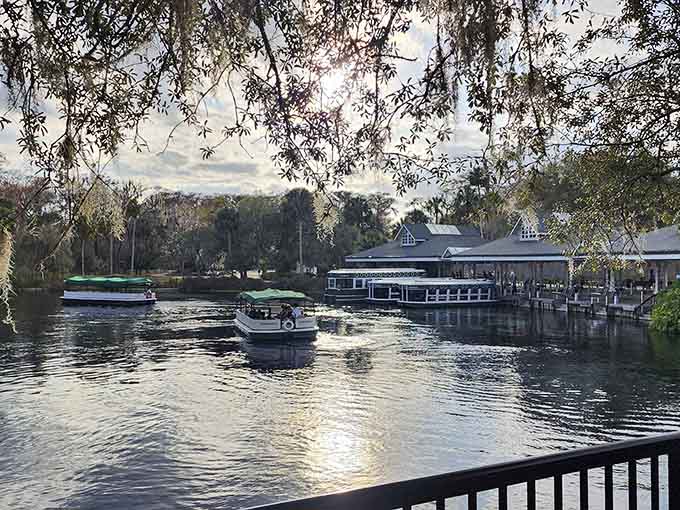 The Silver River winds through the park like nature's own lazy river, minus the inner tubes and chlorine, plus actual wildlife that hasn't been trained to ignore you.
