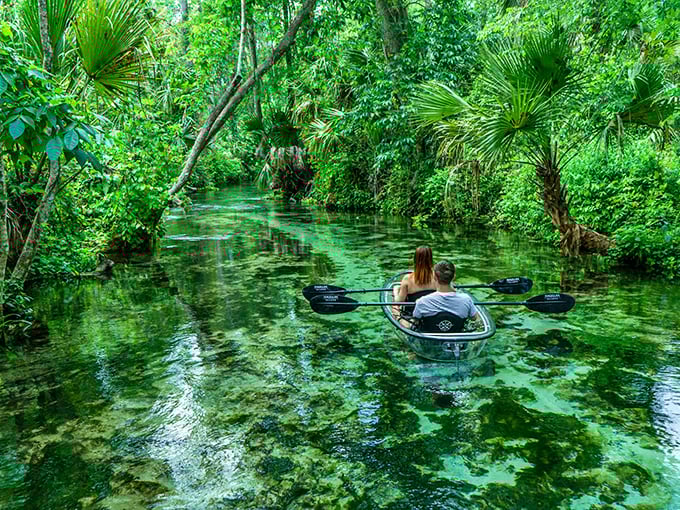 Crystal-clear kayaking: Where "finding Nemo" isn't just a movie title but your afternoon activity in Florida's underwater paradise.