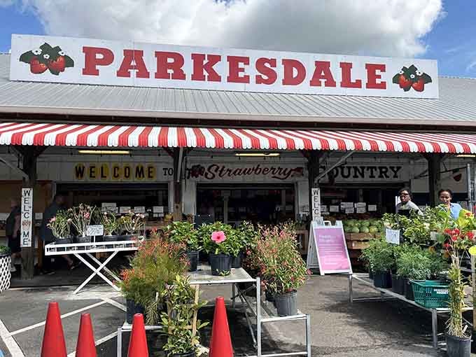That cheerful red and white striped awning beckons like a strawberry-flavored siren song you absolutely should follow.