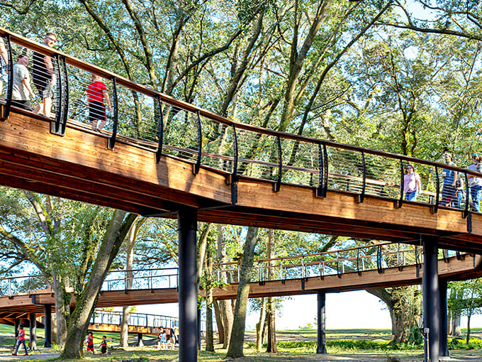 Elevated wooden walkways invite visitors to experience the park from a squirrel's perspective, weaving through ancient trees like nature's VIP section.