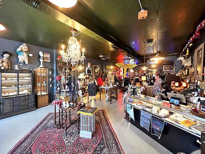Step into a cabinet of curiosities where chandeliers illuminate treasures both bizarre and beautiful, creating Tampa's most enchanting retail fever dream.