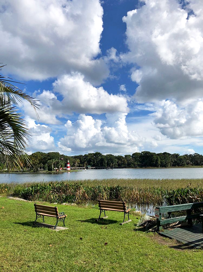 Lakeside benches offer front-row seats to nature's ever-changing show, where the admission price is simply taking time to truly see.