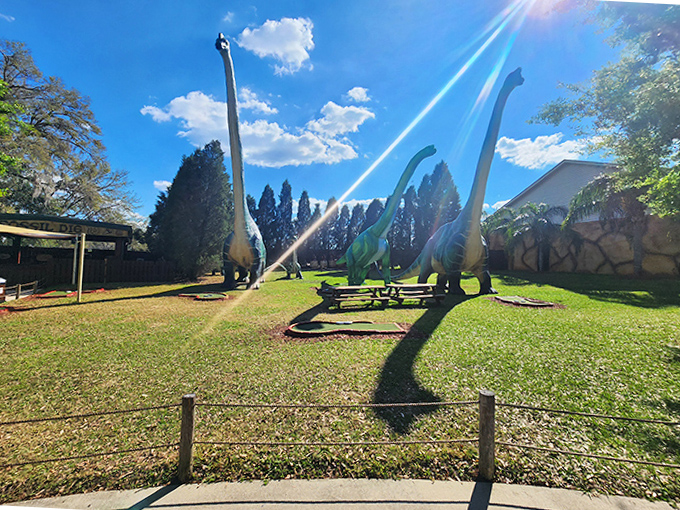 These long-necked giants reach skyward, making visitors feel delightfully small in comparison to their massive prehistoric proportions.