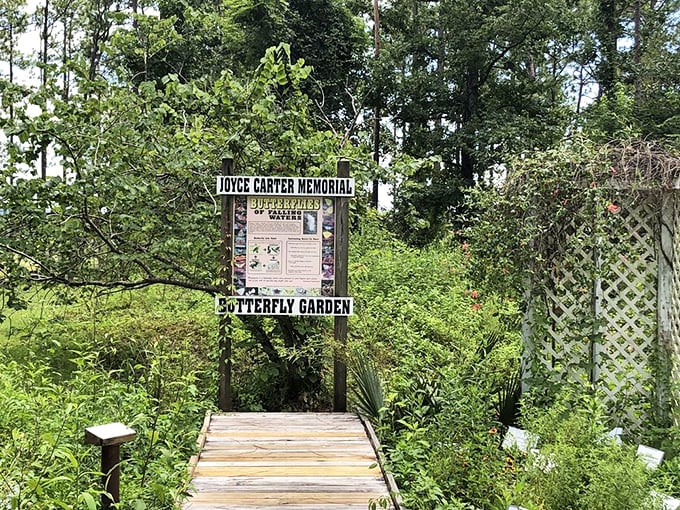 Joyce Carter Memorial Butterfly Garden welcomes winged visitors who don't need campsite reservations or trail maps to enjoy the park.