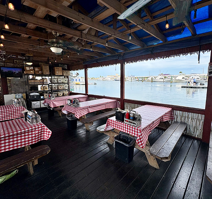 Where checkered tablecloths meet endless blue waters&mdash;a dining room that makes you question why you'd ever eat indoors again.
