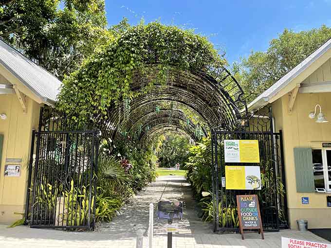 That entrance archway promises adventure beyond, and unlike most promises, this one actually delivers in spectacular fashion every single time.