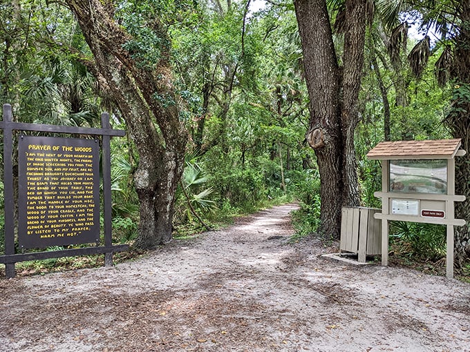 "Prayer of the Woods" marks the trailhead entrance, reminding visitors they're entering a cathedral that predates human architecture.