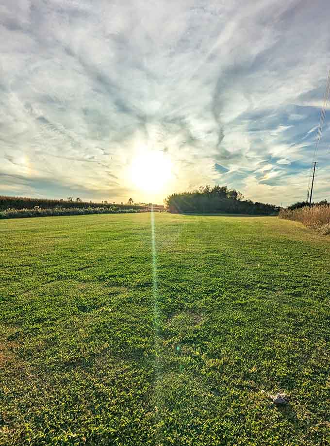 Gerber Hill Park offers the kind of open green space where kids can actually run around without parents having heart attacks.