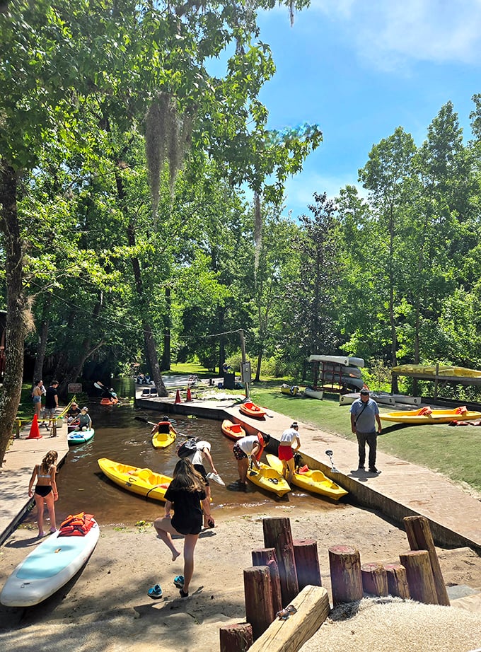Yellow submarines? Not quite, but these kayaks are your ticket to exploring Florida's underwater wonderland without getting (too) wet.