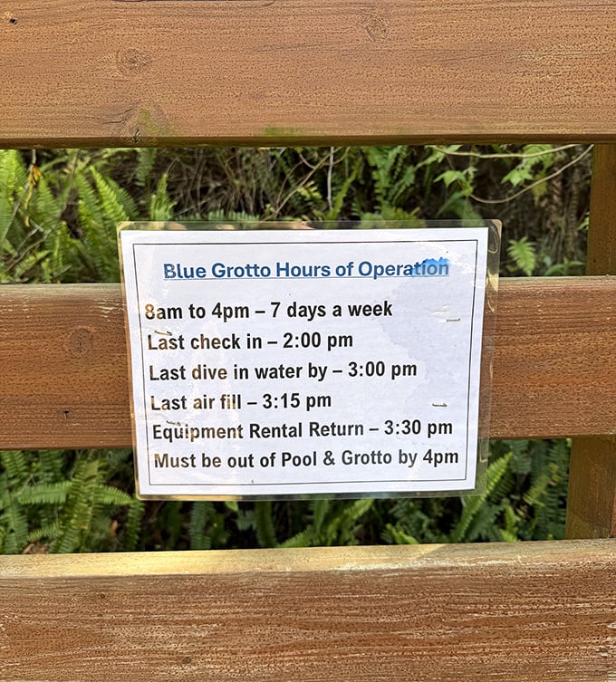Clear operating hours ensure safety first, giving underwater adventurers plenty of time to explore while respecting the site's necessary closing procedures.