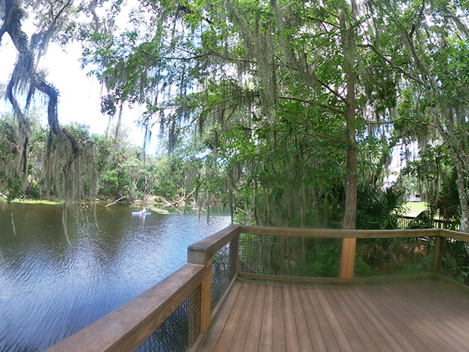 Overlook Deck River: Nature's observation deck offers front-row seats to the daily drama of river life unfolding below.