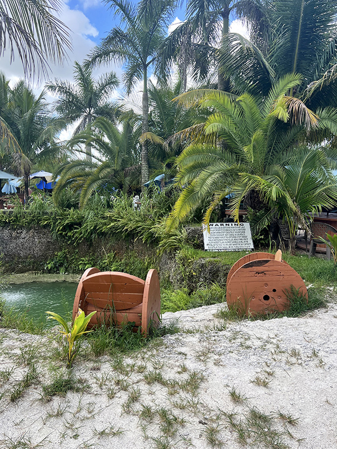 Palm trees stand like sentinels around the lagoon, their fronds creating a natural canopy over this hidden oasis.