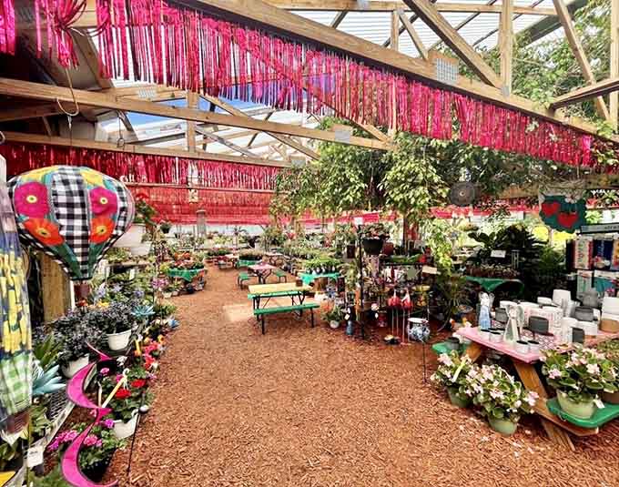 Inside Parkesdale, it's a wonderland of strawberry-themed everything and homemade goodies galore waiting to tempt you.