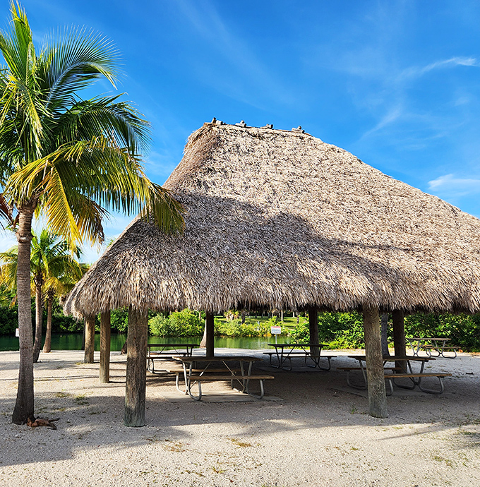 The thatched-roof pavilion offers welcome shade for picnickers, while birds perched above seem to be waiting for the inevitable dropped sandwich crumb.