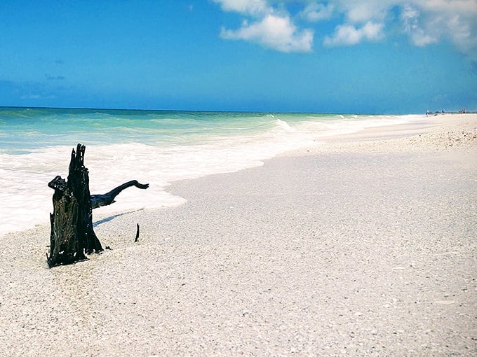 Pristine shores that remain blissfully undeveloped &ndash; where footprints in the sand are nature's only guestbook, washed clean with each tide.