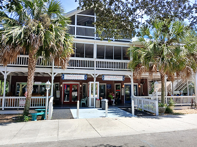 The Shady Oak Gallery combines art appreciation with caffeine &ndash; because contemplating beauty works better with coffee in hand.